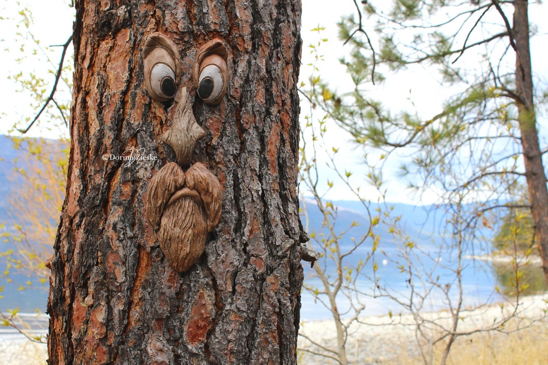 The Original & Genuine Mr. Grumpy Stump Tree Face, Unique Birthday Gift ...