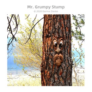 The Original & Genuine Mr. Grumpy Stump Tree Face, Fun Gift, Unique ...