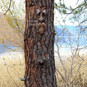 Mr. Grumpy Stump Tree Face Fun Birthday Gifts Made in - Etsy Canada