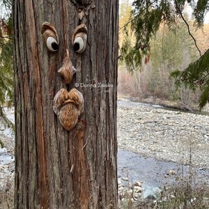 The ORIGINAL & GENUINE Mr. Grumpy Stump Tree Face Gift for Dad Fun ...
