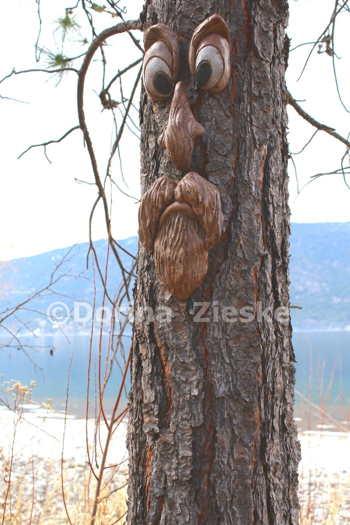 Mr. Grumpy Stump Tree Face Fun Birthday Gifts Made in - Etsy Canada