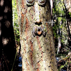 Ole Treemun - Large Concrete Tree Face Perfect Gift Birthday Gift ...