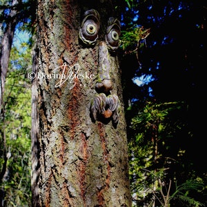 Ole Treemun - Large Concrete Tree Face Perfect Gift Birthday Gift ...