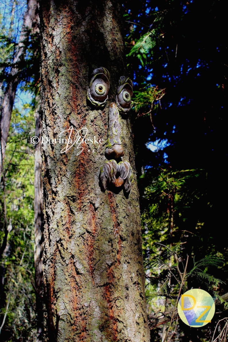 Ole Treemun Large Tree Face Unique Xmas Gift Concrete Tree - Etsy