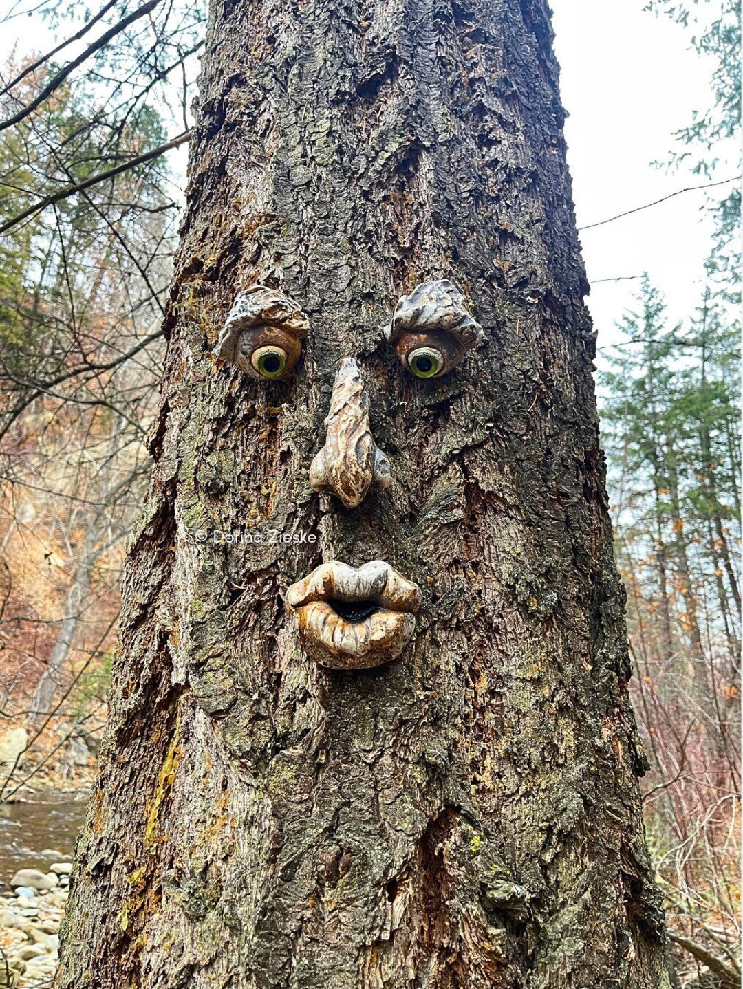 Forrest Stump Concrete Tree Face, Birthday Gifts, Gardeners Gift, Glass ...