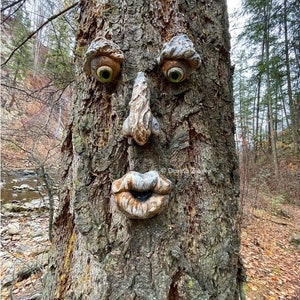 Forrest Stump Concrete Tree Face, Birthday Gifts, Gardeners Gift, Glass ...