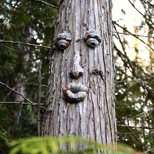 Forrest Stump - Large Concrete Tree Face Whimsical Forest Faces Ideal ...