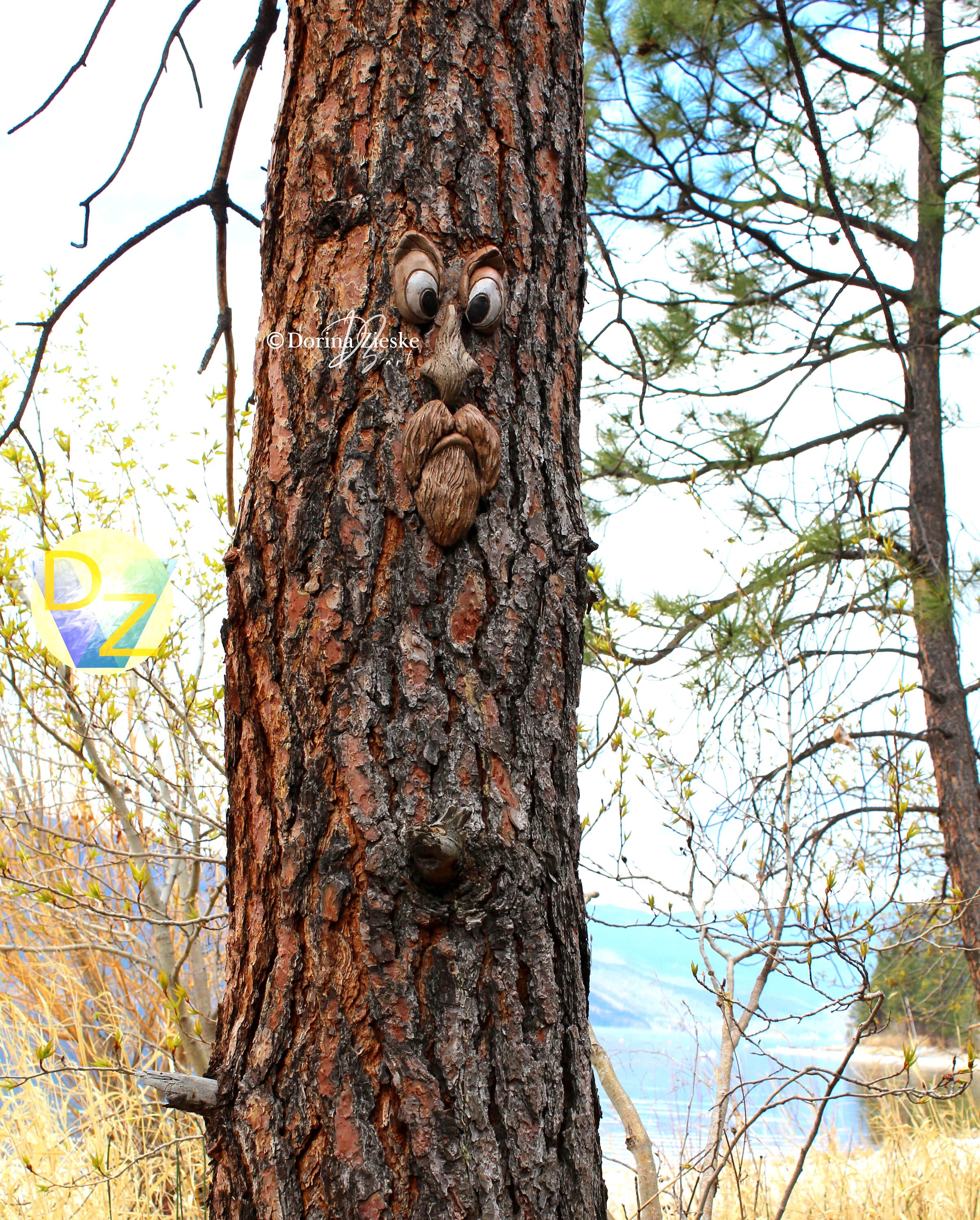 Mr. Grumpy Stump Tree Face Fun Birthday Gifts Made in - Etsy Canada