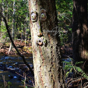 Ole Treemun - Large Concrete Tree Face Perfect Gift Birthday Gift ...