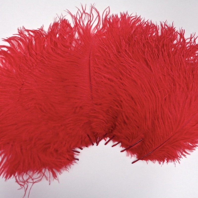 Red Ostrich Feathers - Etsy