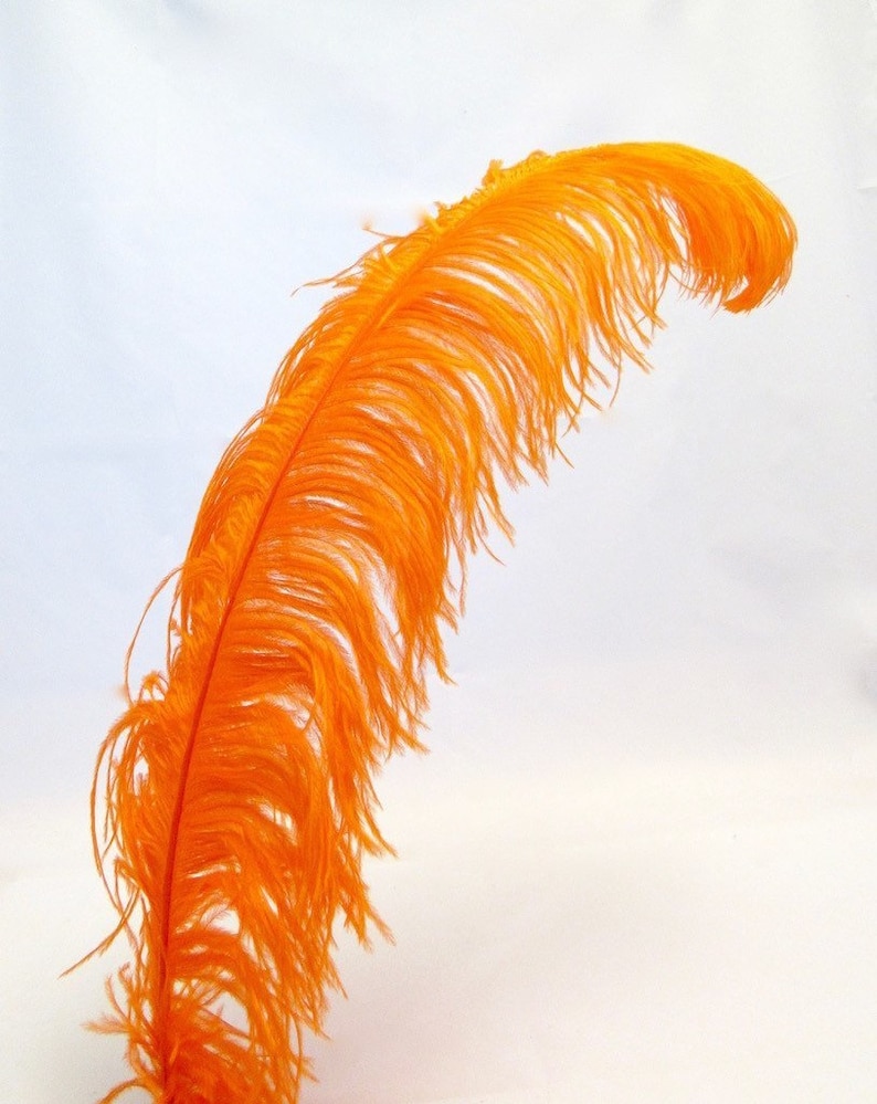 Orange Ostrich Feather Plume Premium 18-24+ Inch per Each - Etsy