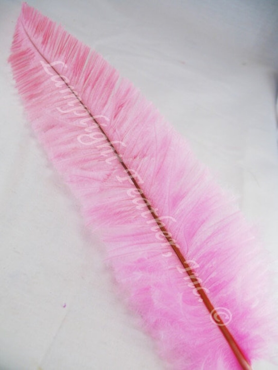 Ostrich Nandu Candy Pink 12-16 Inch per Each - Etsy