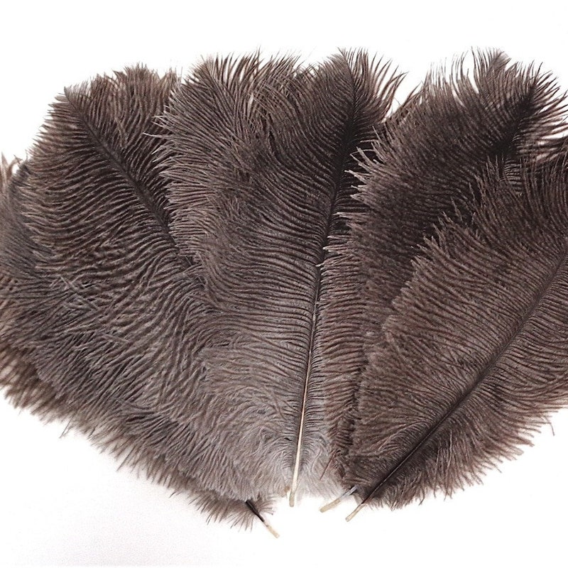 Large Feathers - Etsy