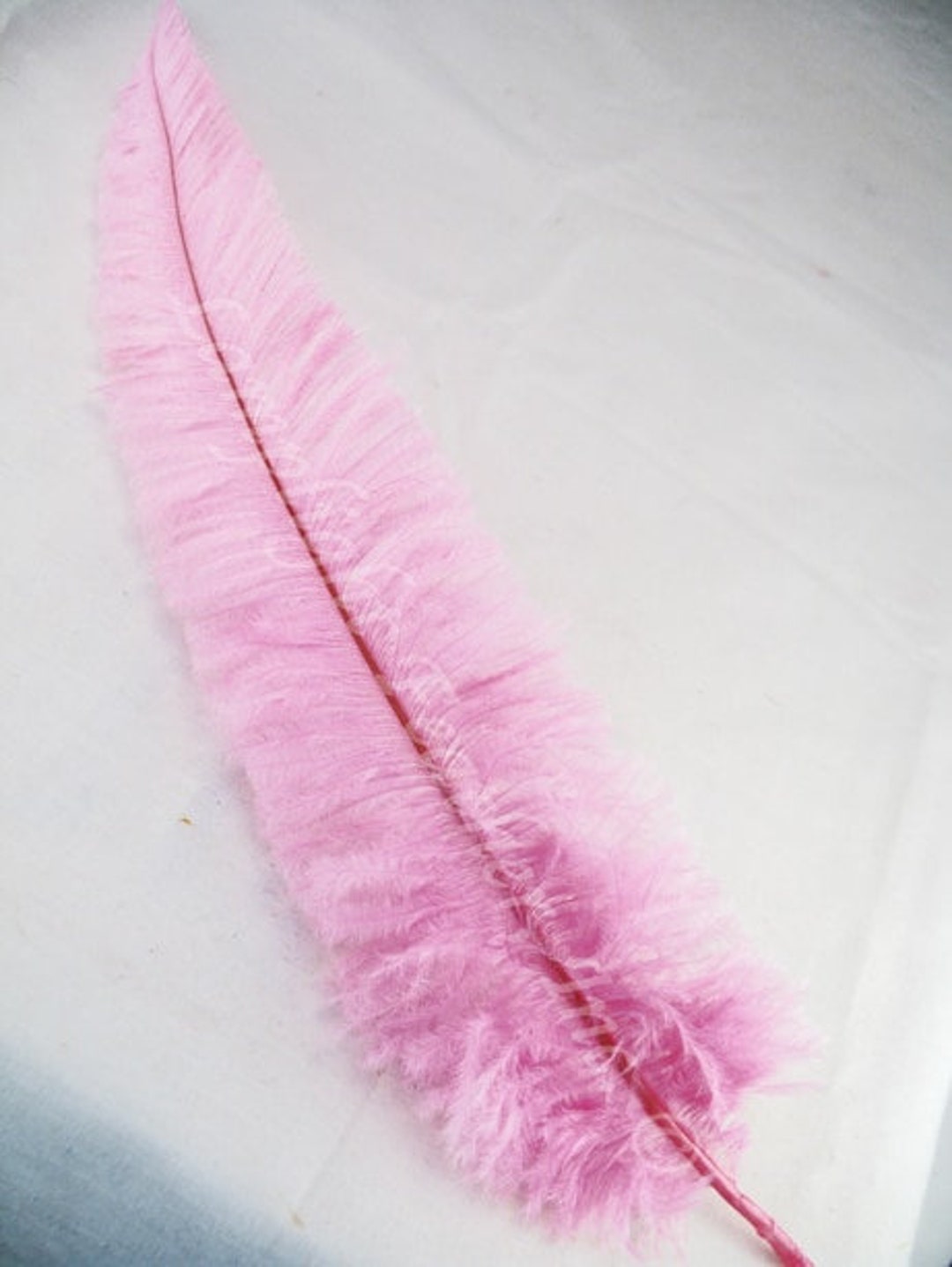 Ostrich Nandu. Light Pink. 16-19 Inches - Etsy