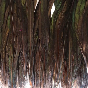 Natural Bronze Black Coque Rooster Tail Feathers 14-16 Inch per 25 - Etsy
