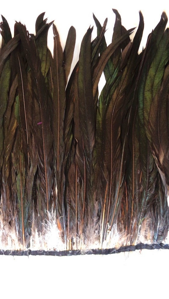 Natural Bronze Black Coque Rooster Tail Feathers 14-16 inch | Etsy