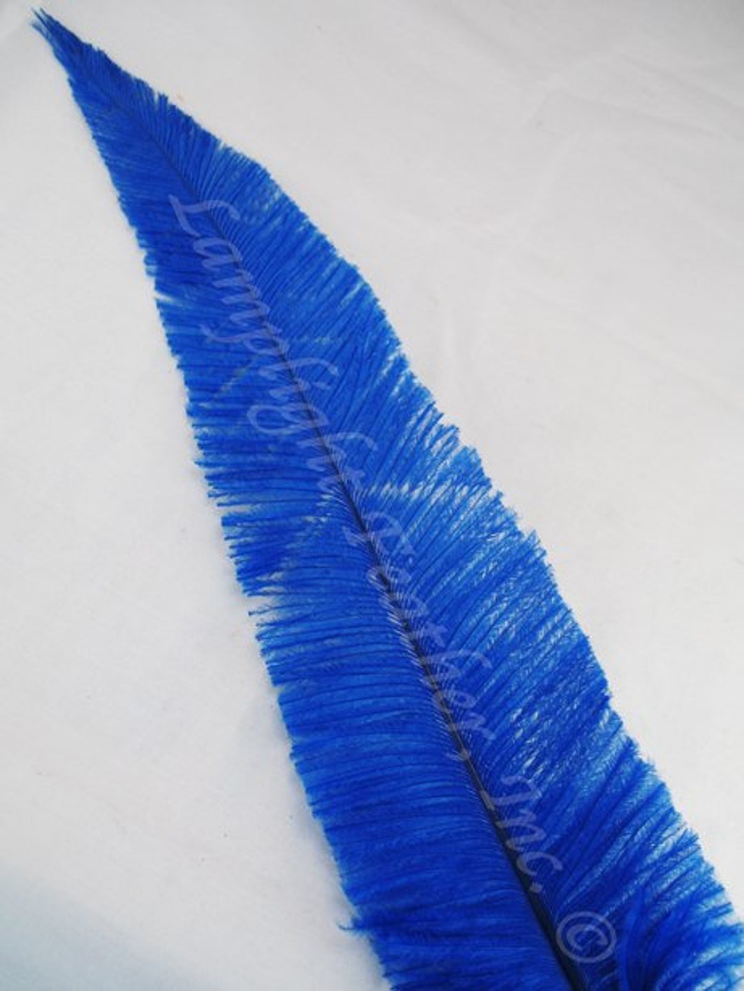 Ostrich Feather Nandu Blue 12-16 Inch per Each - Etsy