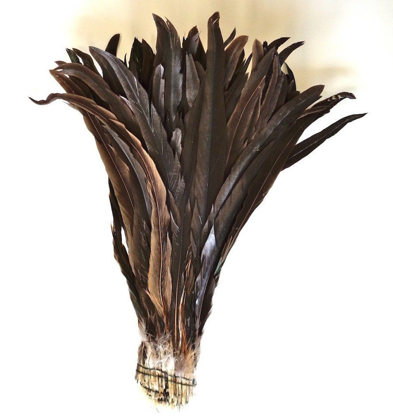 Natural Bronze Black Coque Rooster Tail Feathers 14-16 Inch - Etsy