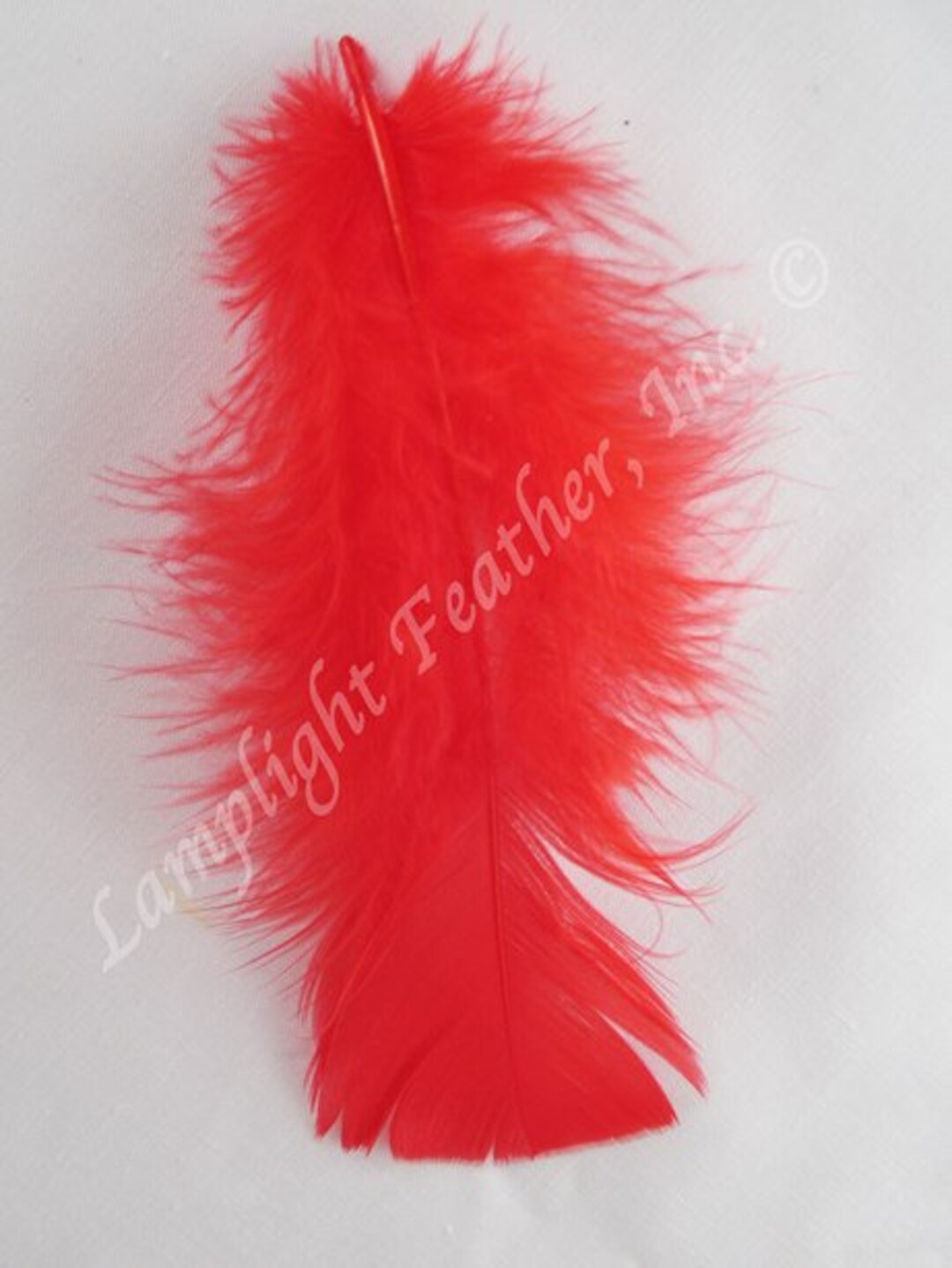 Red Craft Feathers Turkey Plumage per One Ounce Package - Etsy