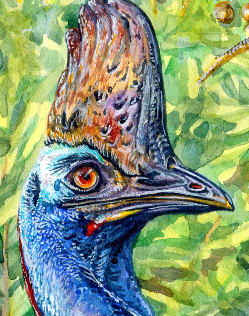 Cassowary Art Print, Australia Poster - Etsy