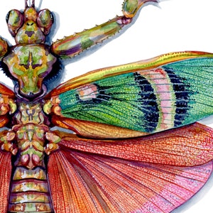 Gold Praying Mantis Art Print, Insect Poster - Etsy