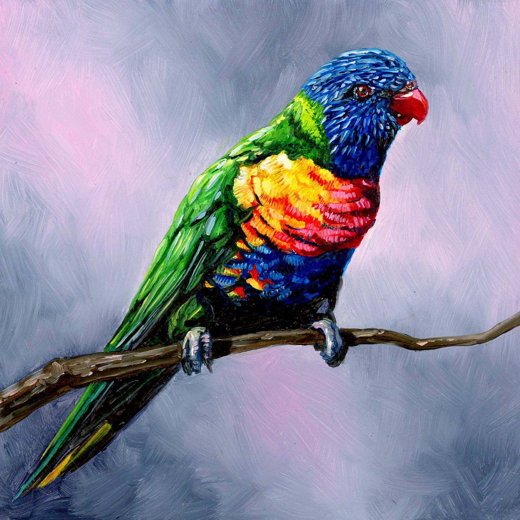 Rainbow Lorikeet Art Australian Oil Painting - Etsy