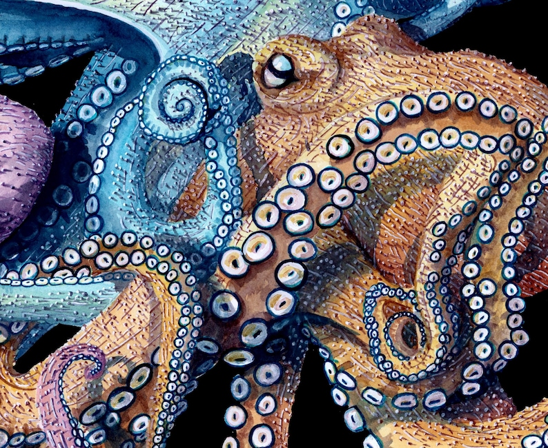 Octopuses Art Print, Ocean Poster - Etsy