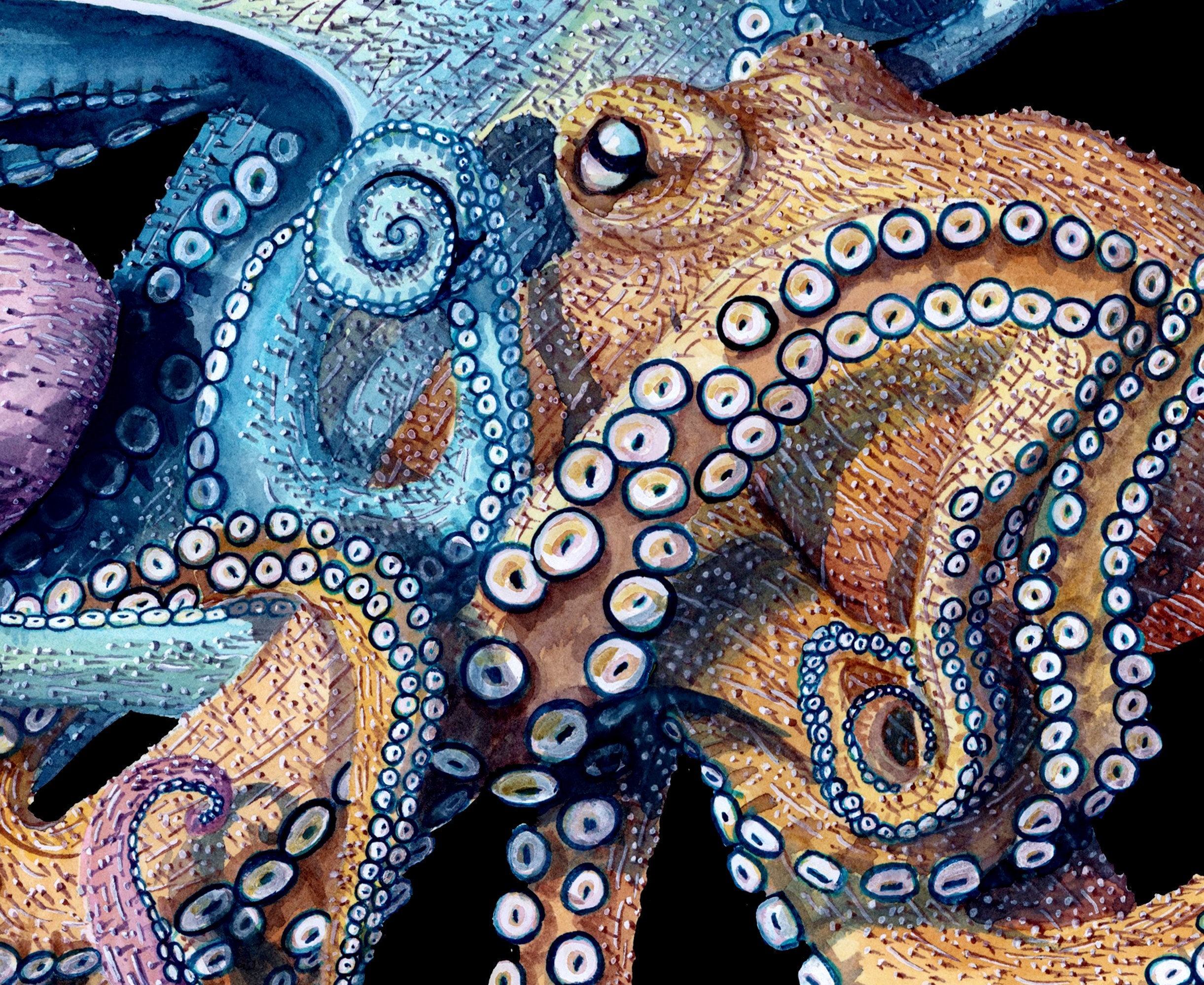 Octopuses Art Print, Ocean Poster - Etsy