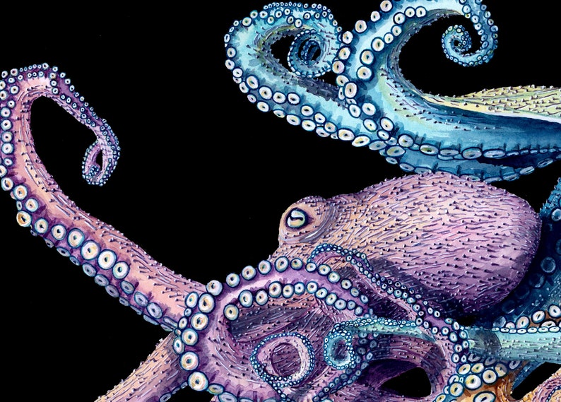 Octopuses Art Print, Ocean Poster - Etsy