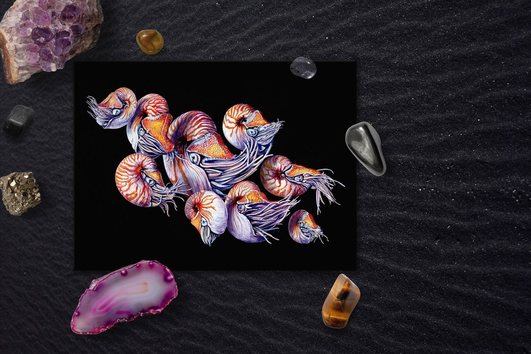 Nautilus Art Print, Deep Sea Poster - Etsy
