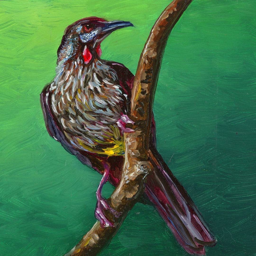 Wattle Bird Art Original Oil Painting - Etsy