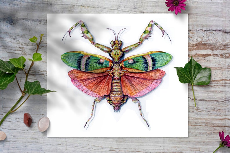 Gold Praying Mantis Art Print, Insect Poster - Etsy