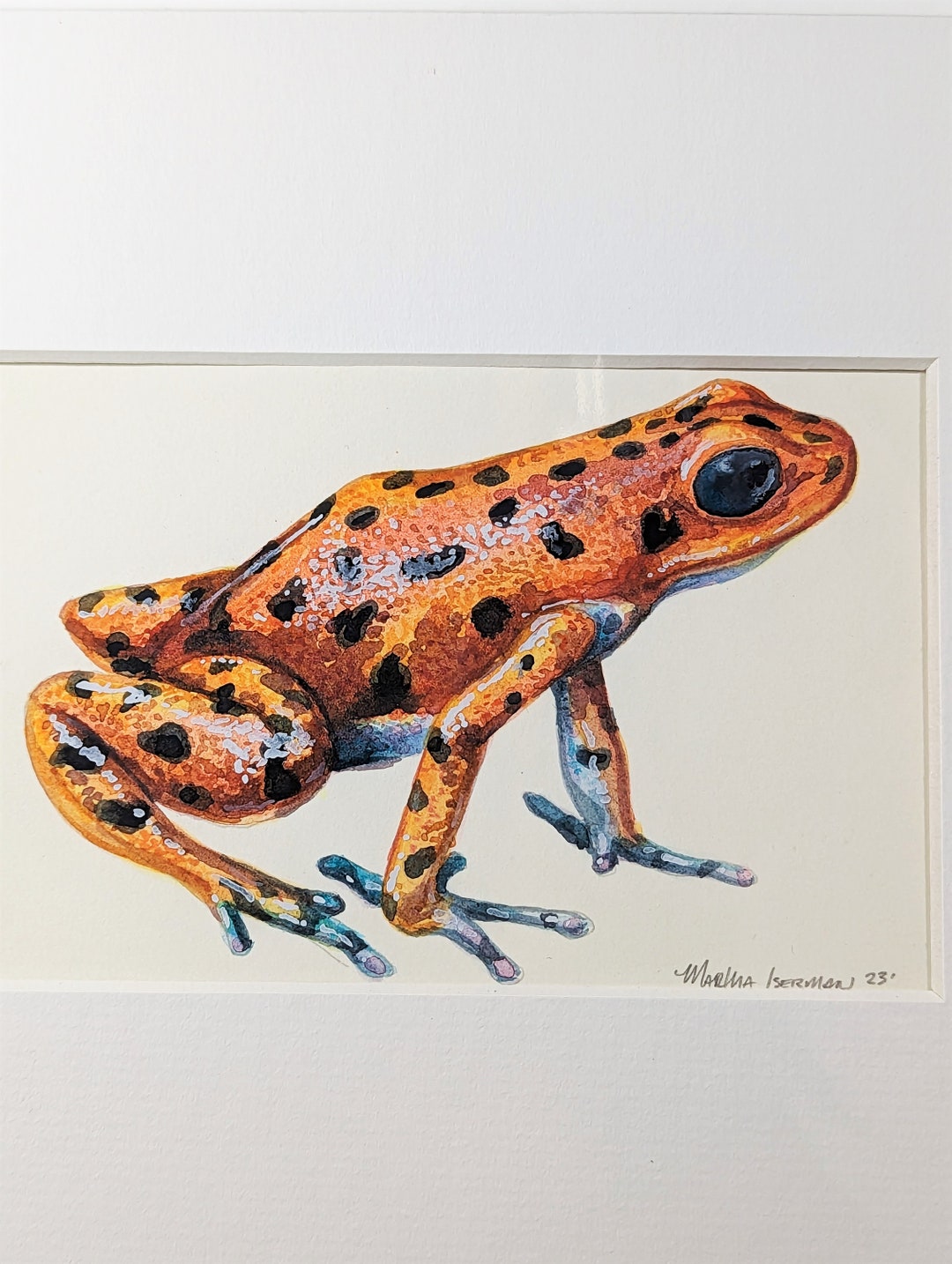Charming Poison Dart Frog Watercolor Painting - Exotic Nature Deligh - Etsy