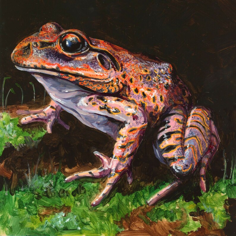 Colorful Rainforest Frog Oil Painting - Etsy