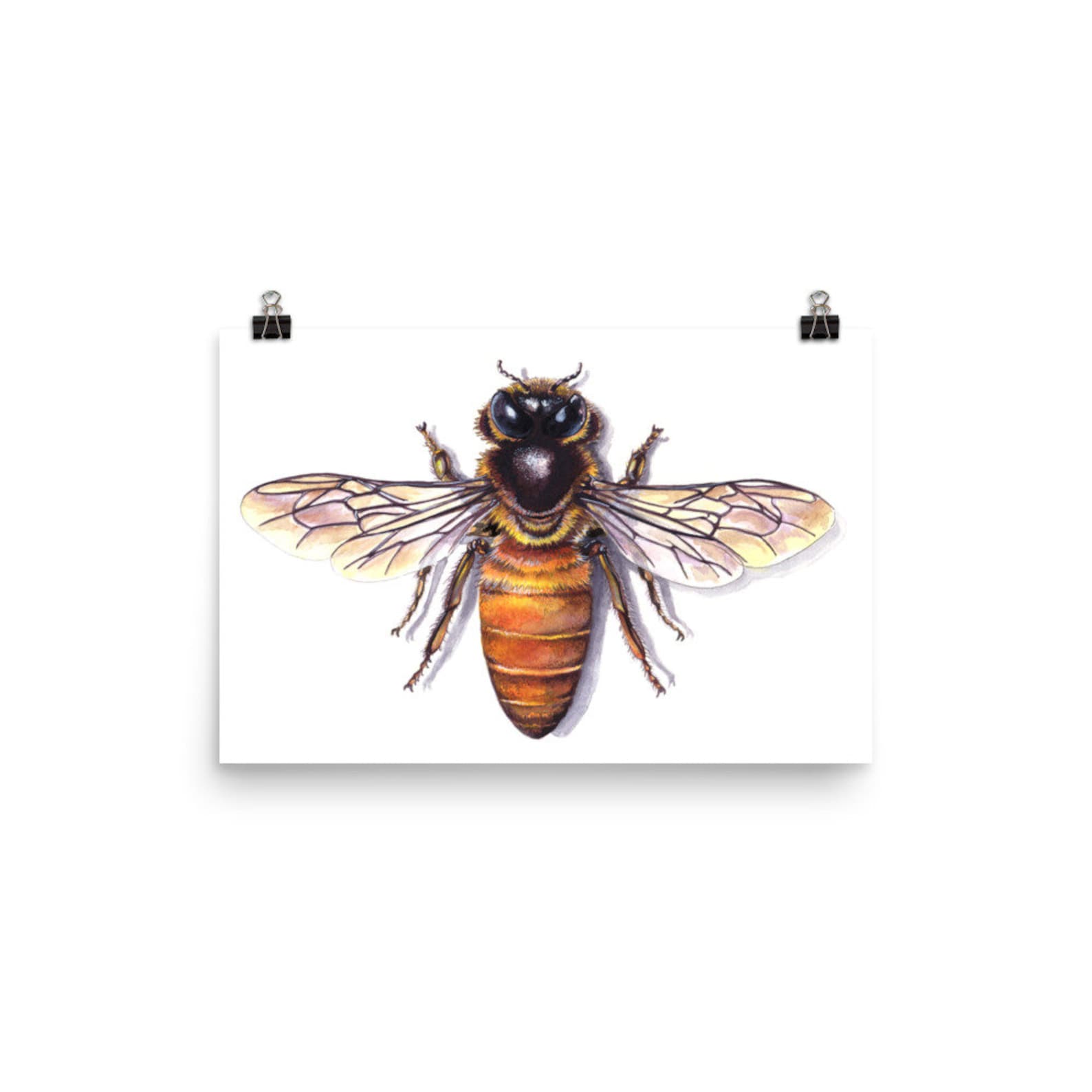 Into the Hive: Mesmerizing Bee Art Print - Exquisite Insect Poster - Etsy