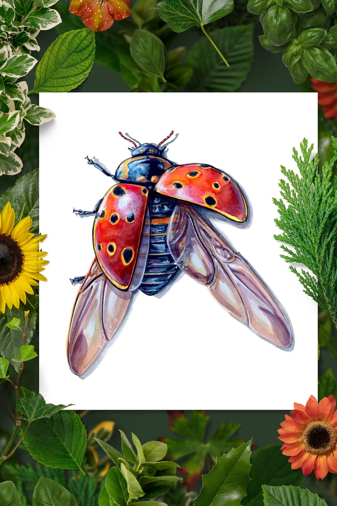 Lady Beetle Art Print, Pretty Insect Gift, Nursery Decor - Etsy