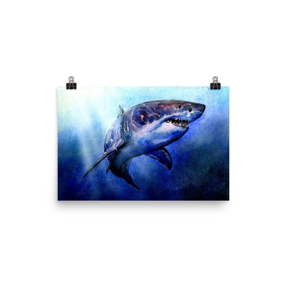 Shark Art Print Great White Poster - Etsy