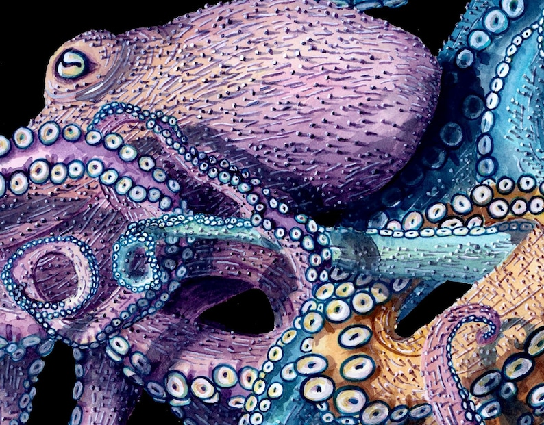 Octopuses Art Print, Ocean Poster - Etsy