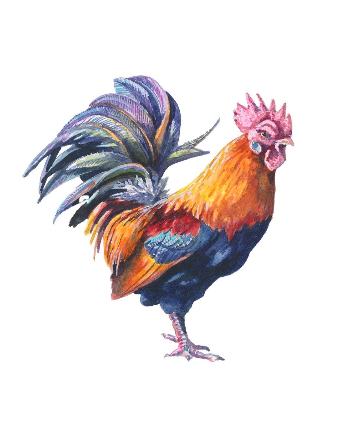 Colorful Rooster Art, Small Watercolor Painting, Farmhouse Decor - Etsy