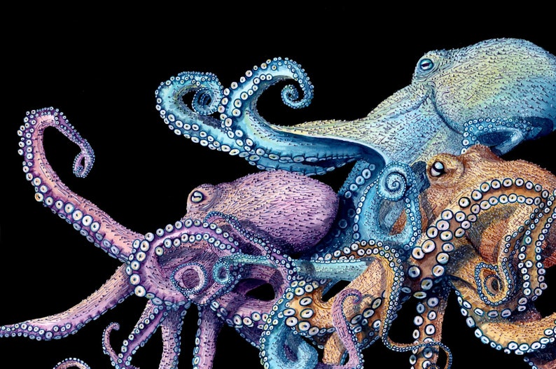 Octopuses Art Print, Ocean Poster - Etsy