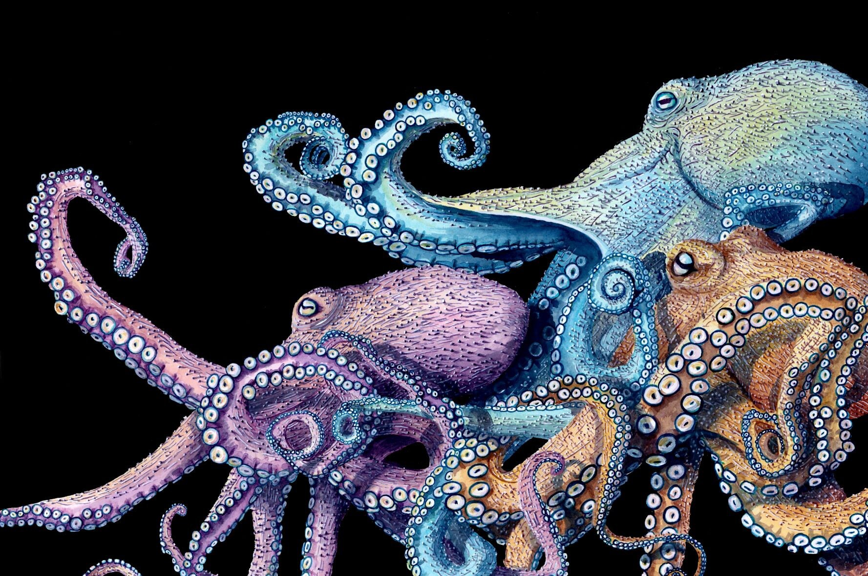 Octopuses Art Print, Ocean Poster - Etsy