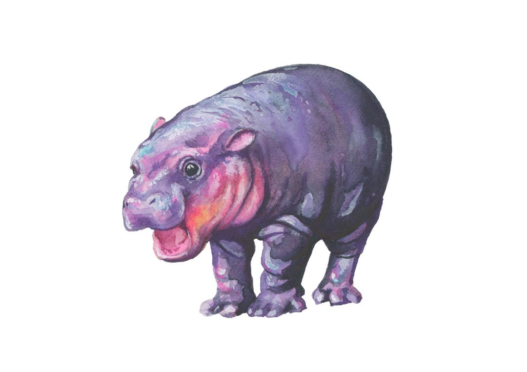 Moo Deng Watercolor Painting of Moo Deng the Pygmy Hippo Internet ...