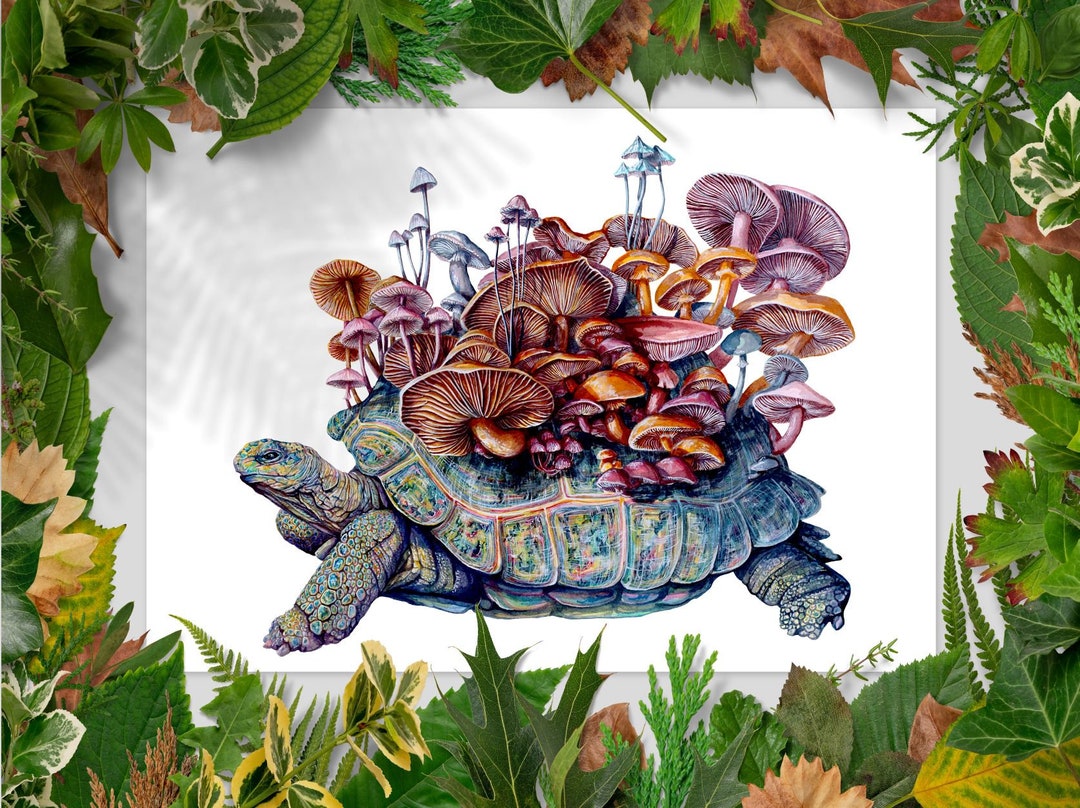 Mushroom Tortoise Wall Art - Etsy