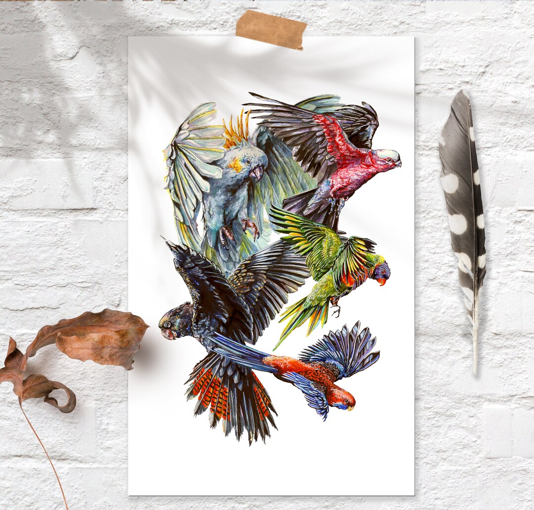 Australian Parrots Art Print, Cockatoos, King Parrots and Lorikeet ...