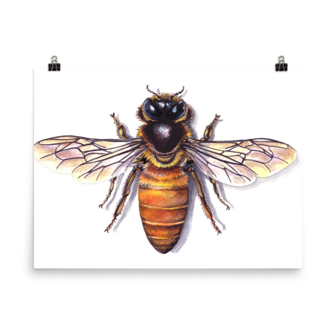 Into the Hive: Mesmerizing Bee Art Print Exquisite Insect Poster - Etsy