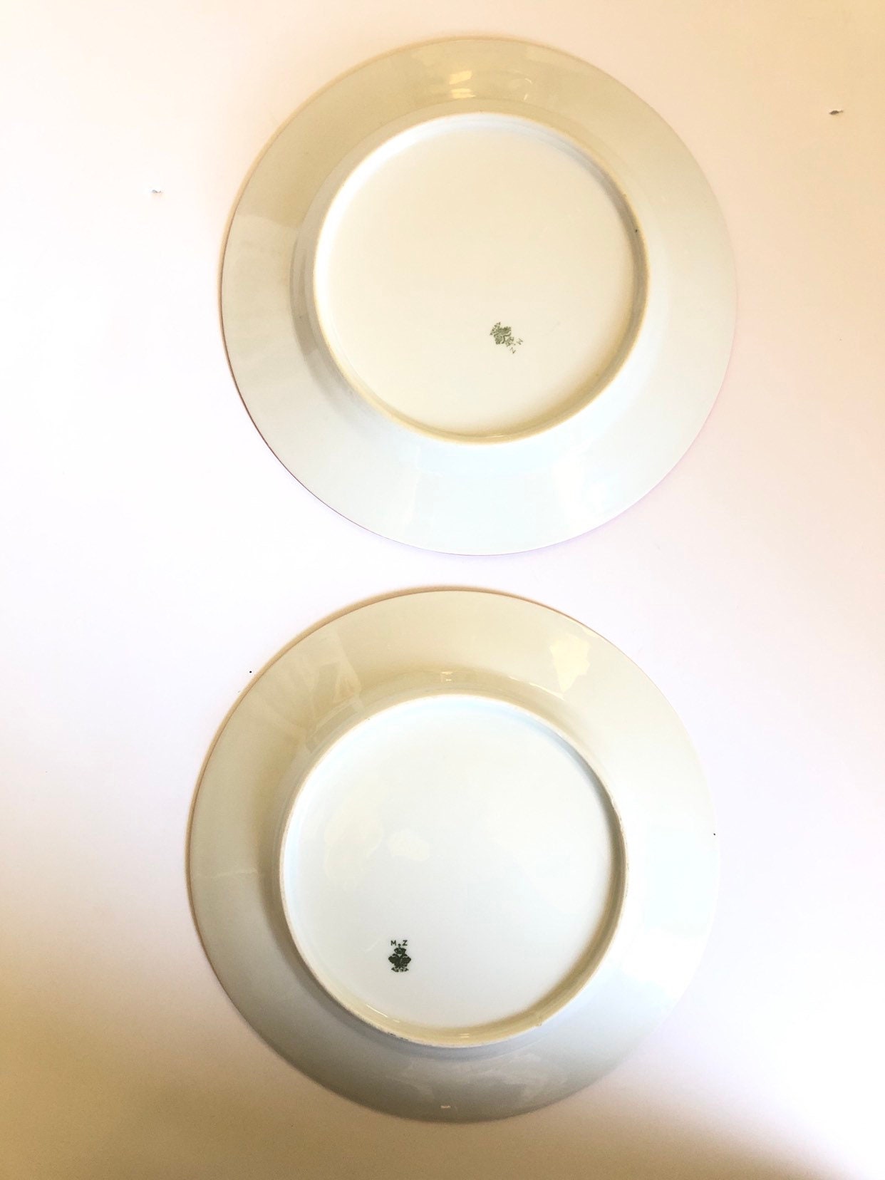 Set of 2 European Floral Dinner Plates - Etsy
