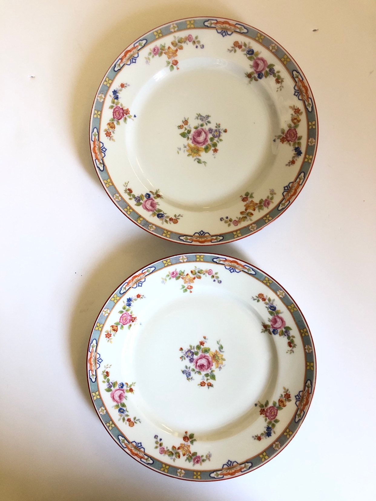 Set of 2 European Floral Dinner Plates - Etsy