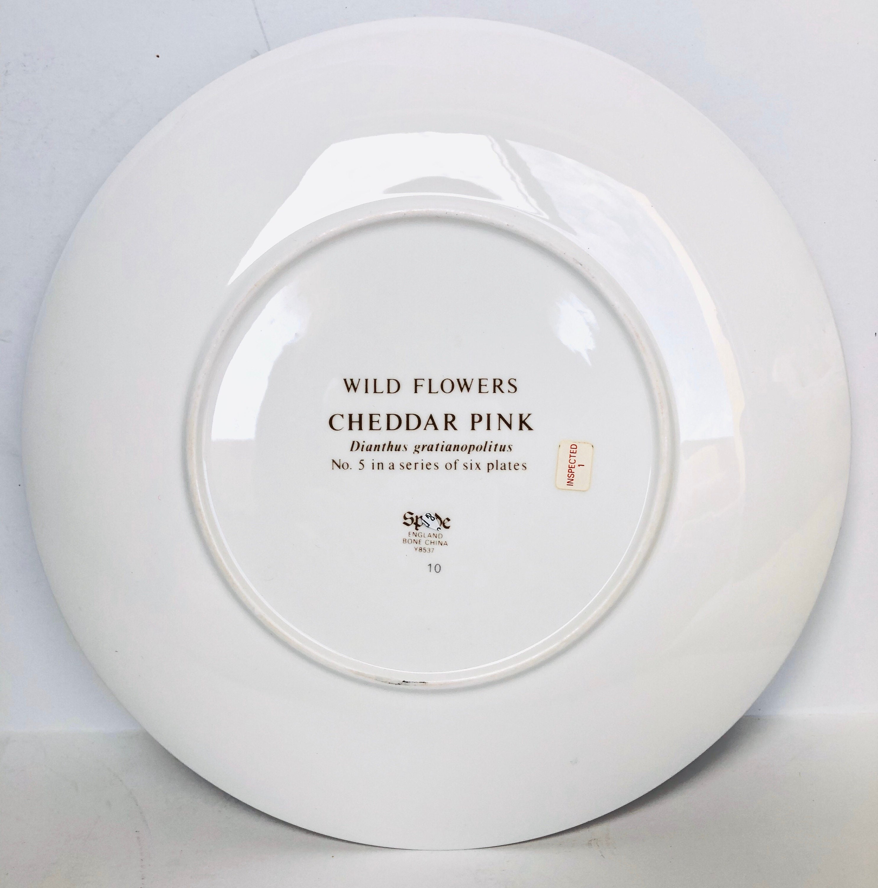 Spode Wild Flowers Pink Cheddar Plate - Etsy New Zealand