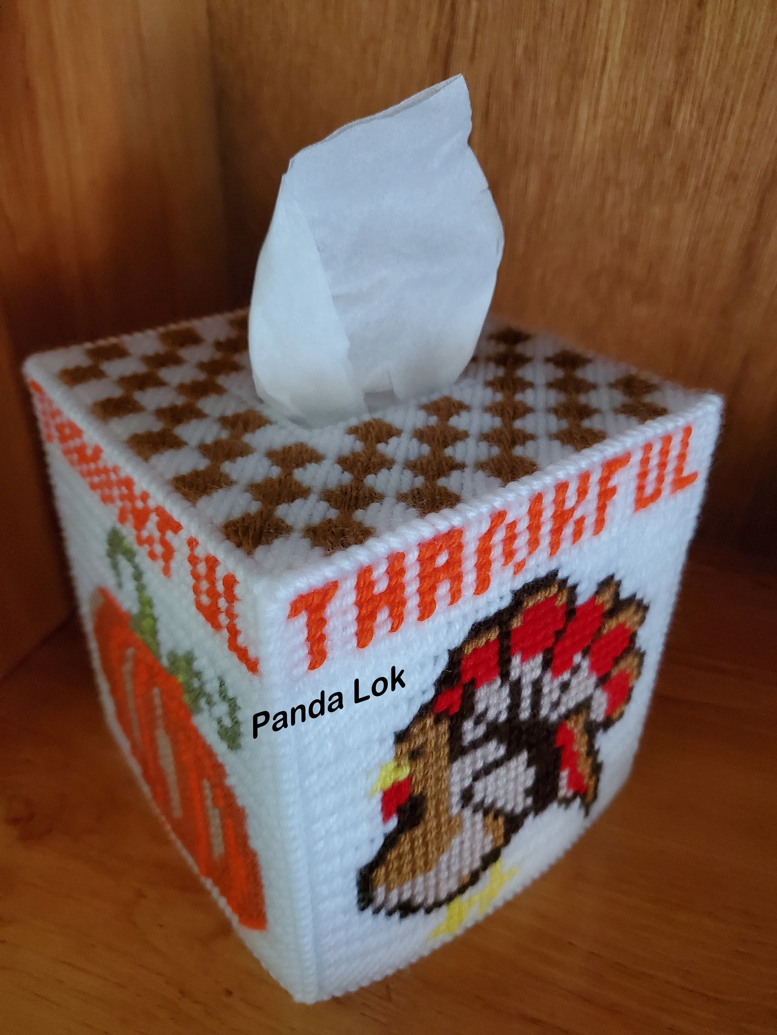 Thanksgiving Thankful Turkey and Harvest Pumpkin Plastic Canvas Tissue ...