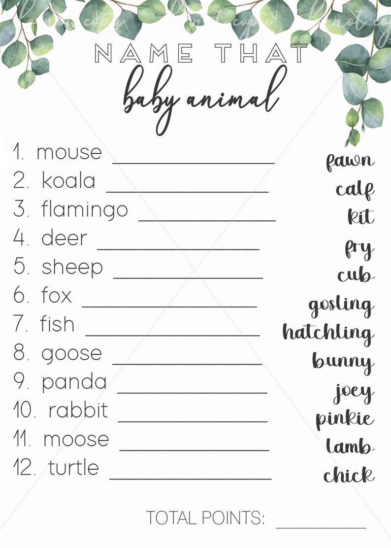 Baby Shower Game Name the Baby Animal With Answer Key - Etsy
